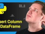 Insert Column At Specific Position Of Pandas Dataframe Python Example