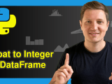 Convert Float To Integer In Pandas Dataframe Column Python Example