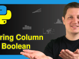 Convert String To Boolean In Pandas Dataframe Column Python Example