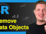 R Remove Multiple Data Objects Using Rm Function Clean Environment