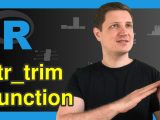 Str Trim Function In R Example Stringr Package Programming Code