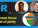 Customize Format Hover Text Of Plotly Graph In R Example