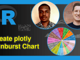 Plotly Sunburst Chart In R Examples Hierarchical Interactive Plot