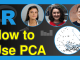 Apply Principal Component Analysis In R Pca Example Results