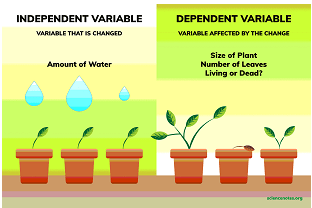 Variables: Definition, Example and Types of variables in Research ...