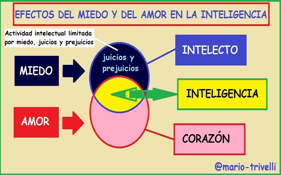 La epistemología.| Filosofia | doctrina de los fundamentos | Wikisabio