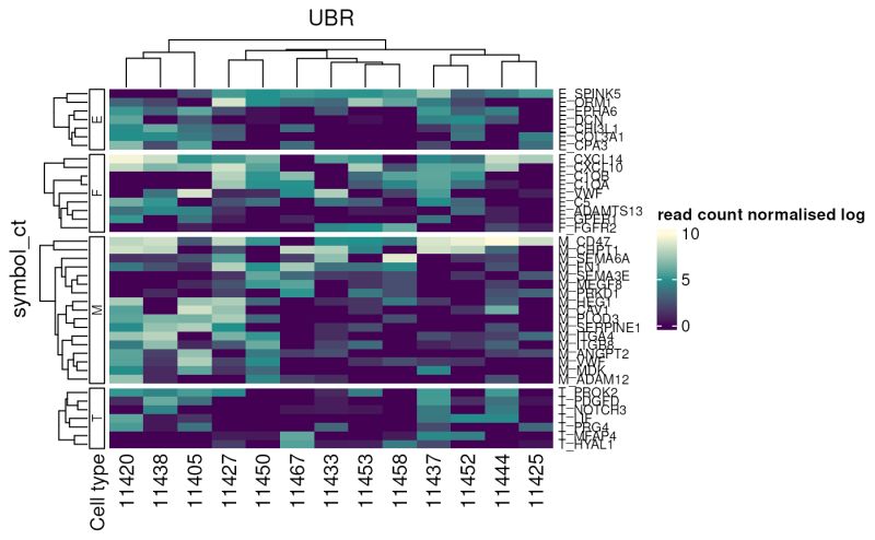 Plot A Complexheatmap Plot Heatmap Legato - Professional 4K Ocean Illustrations | Free Download