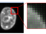 Basic Properties Of Images And Pixels Image Analysis Training Resources