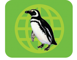 Curriculum Overview – STEM Mentoring Program