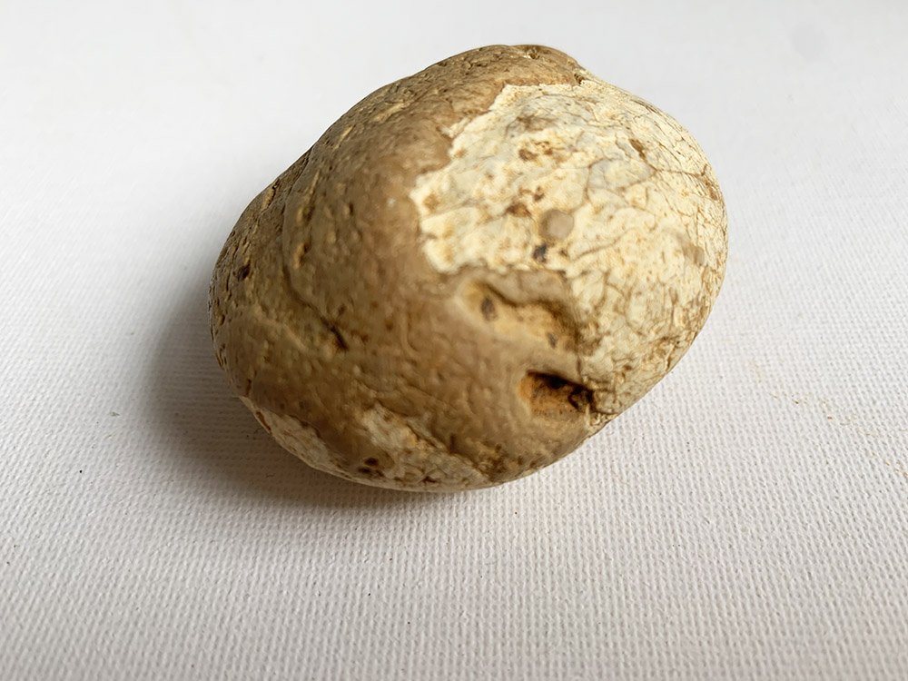 N105 – Neolithic Hammer-Stone (British Find) – Stephen Robert Kuta