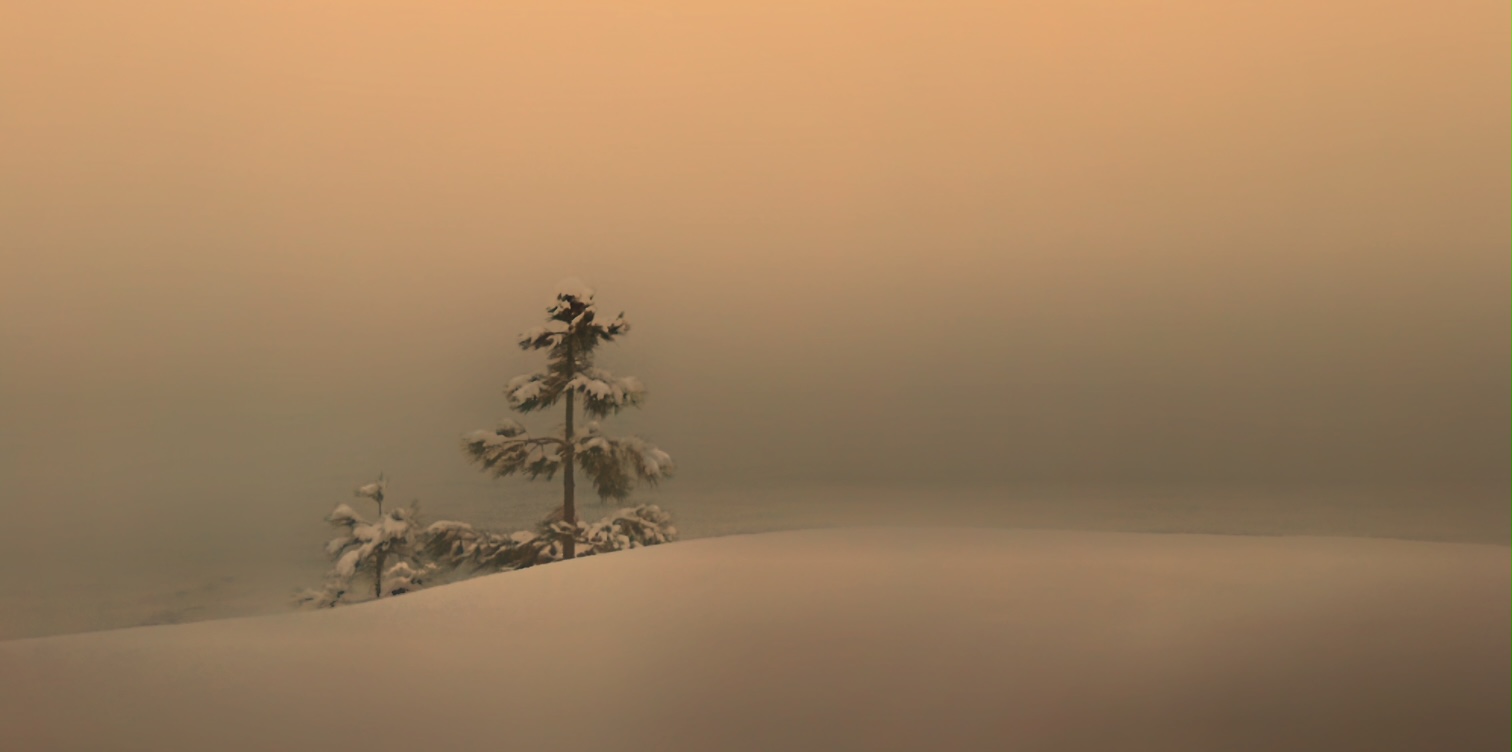 Let Beauty Awake! A (reluctant) song for Easter morning. - Steve Bell