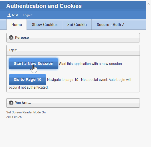 Apex Authentication With Remember Me Cookie W P Hill Tech