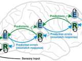 The Mathematics Of Predictive Processing Asking Why