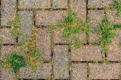 Polymeric Sand Reigns Supreme for Paver Jointing