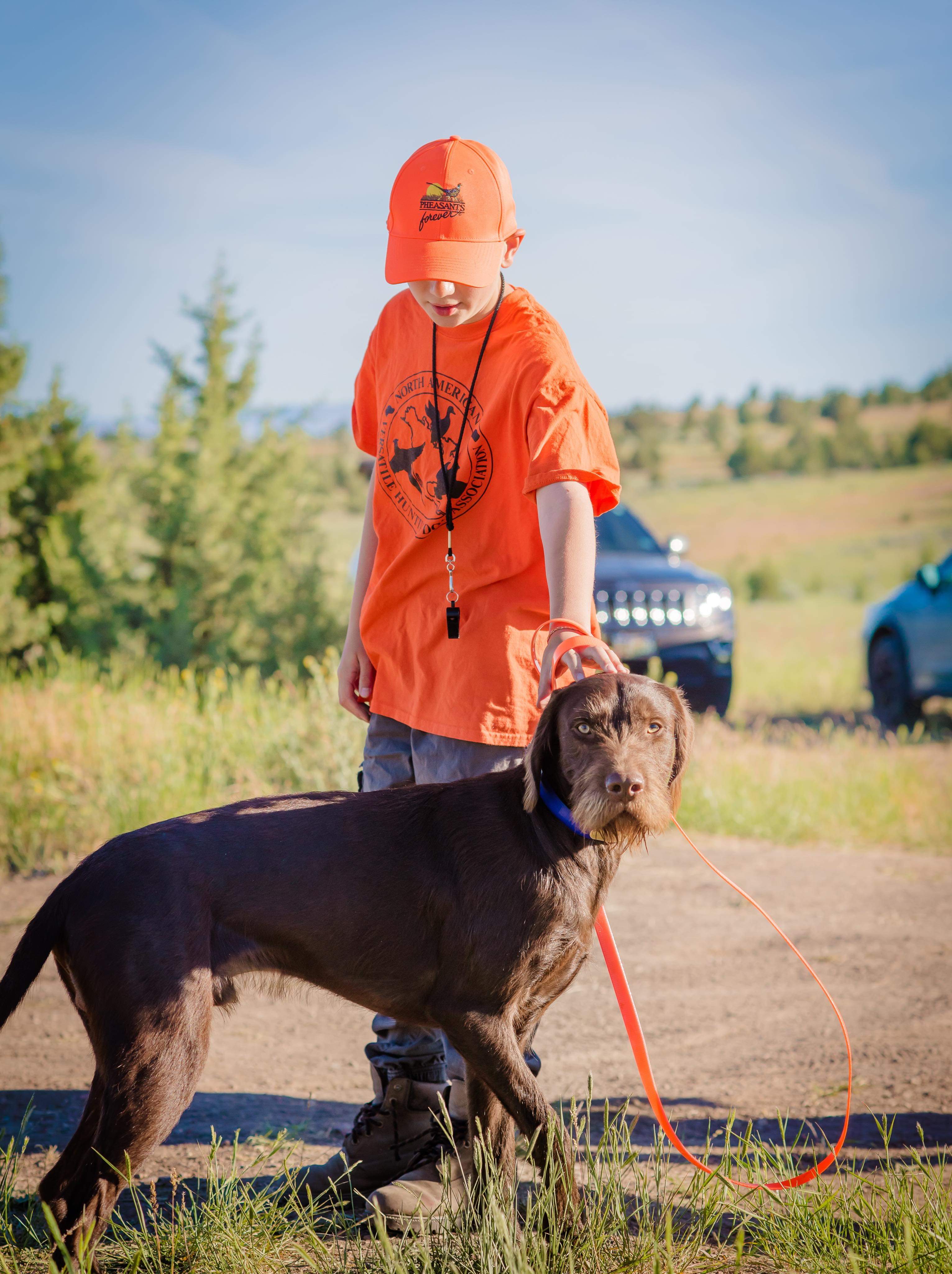 Hardtrigger's Ever Higher - Stonesthrow Pudelpointers