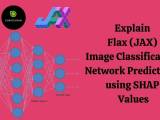 Explain Flax Jax Image Classification Network Predictions Using Shap