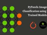 Pytorch Image Classification Using Pre Trained Models