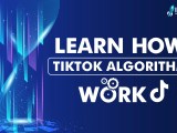 Learn How Tiktok Algorithm Work