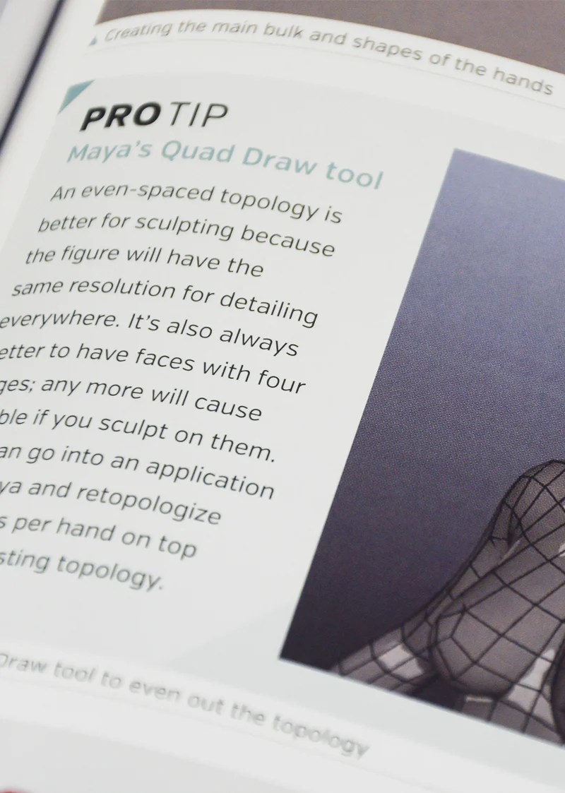 Anatomy For 3d Artists 3dtotal Shop