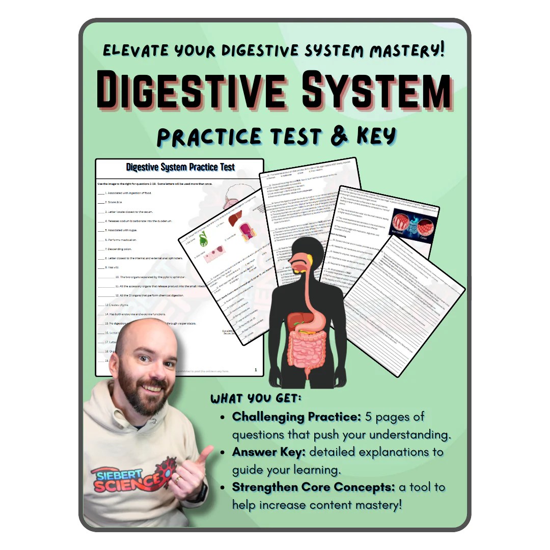 Practice Test Digestive System Siebert Science Store