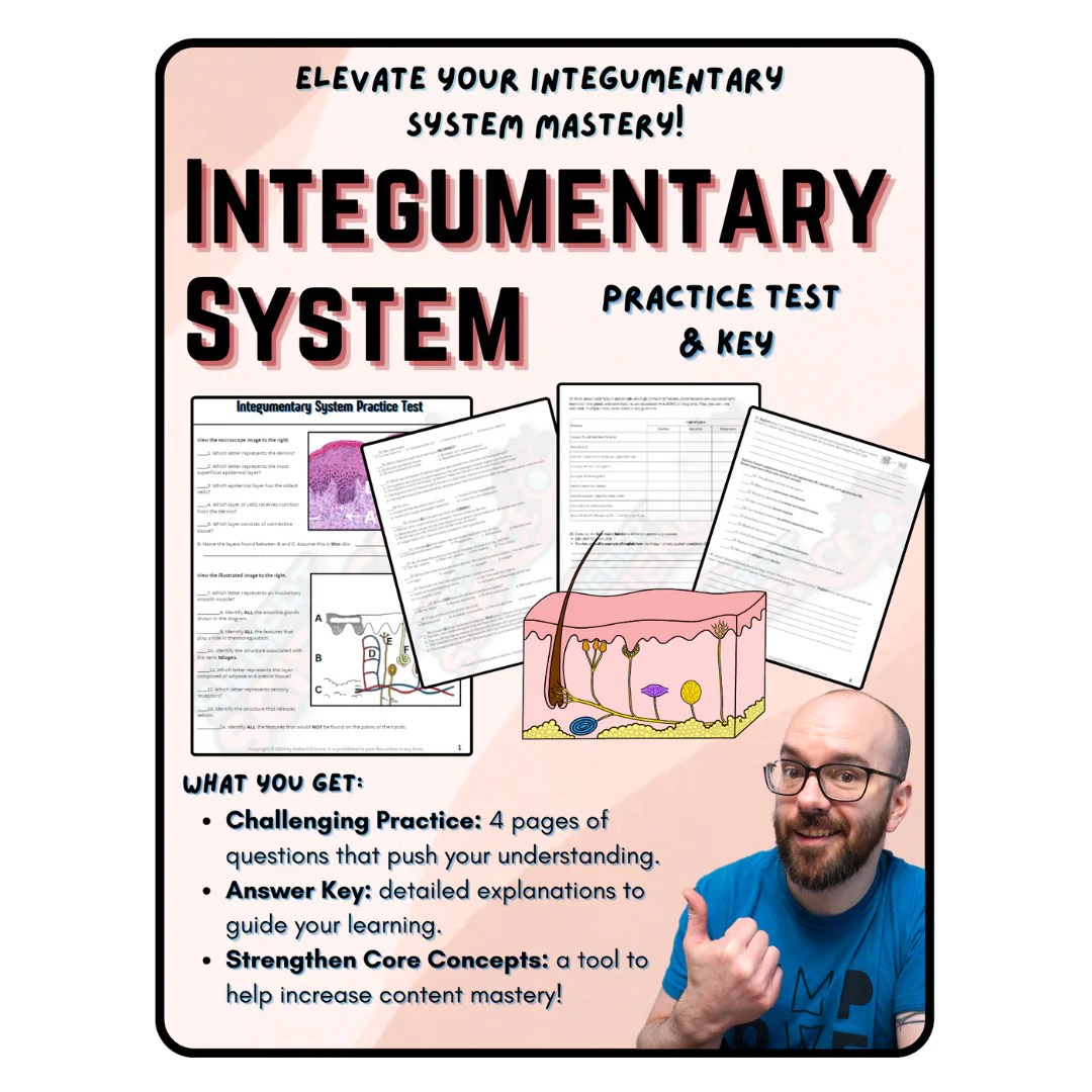 Practice Test Integumentary System Siebert Science Store