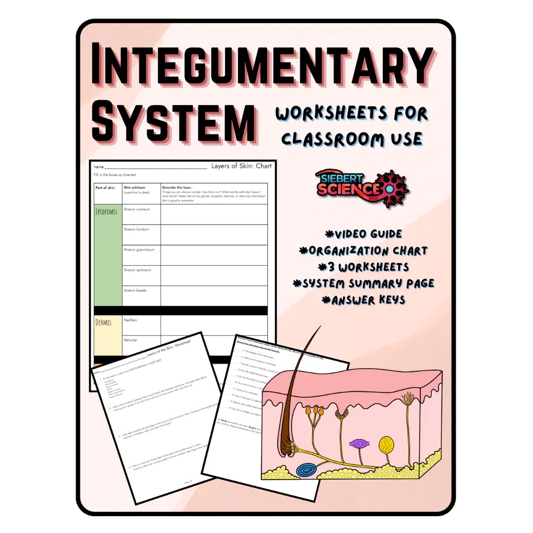 Siebert Science Store All Products