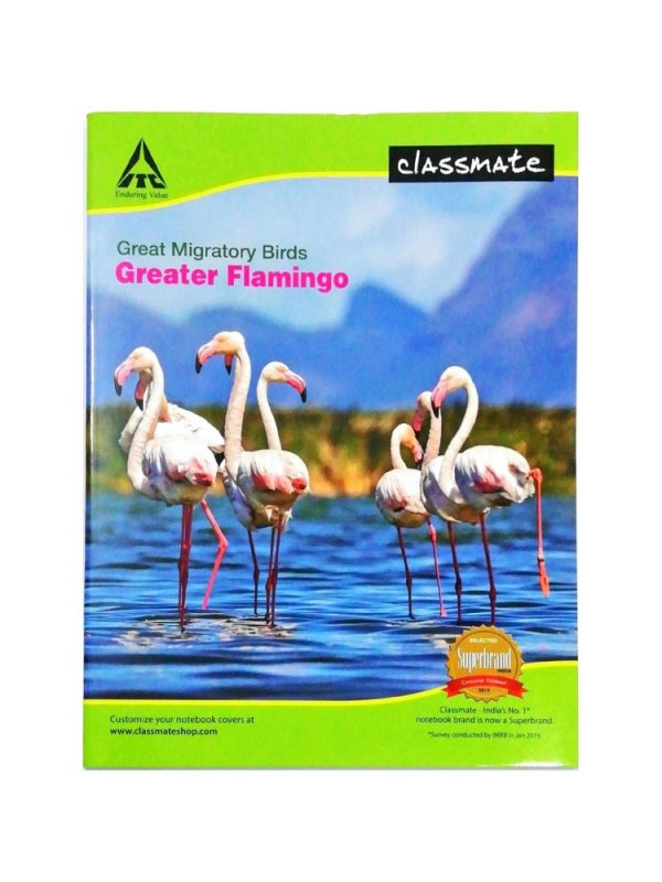 Classmate Broad Line Notebook 172p F Store Online Store For School classmate-broad-line-notebook-172p-f-store-online-store-for-school
