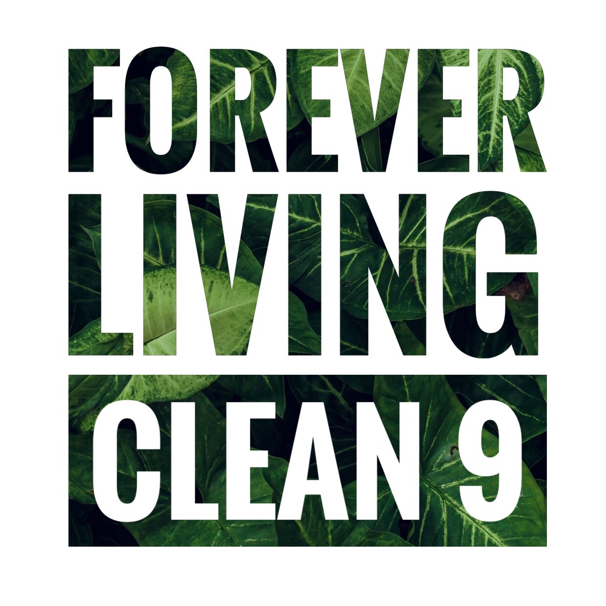 Forever Living - Clean 9 | My Experience | Stralthy