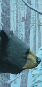 Strange Horizons - On the Occasion of A Burial of Ernest Zach Ulrich By ...