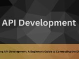 Api Development Basics For Secure Scalable Integration