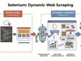 A Step By Step Python Selenium Web Scraping Tutorial