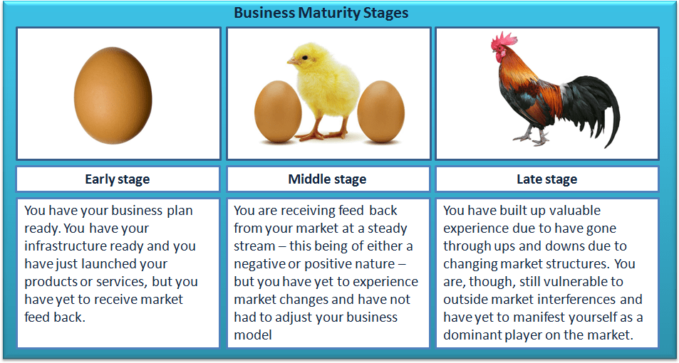 First things First – Business Maturity | Strategy On the Internet