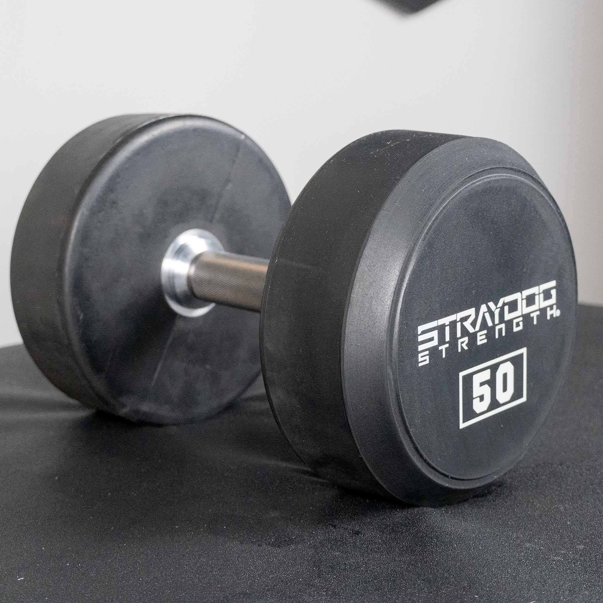Assisted Nordic Hamstring Curls Stray Dog Strength