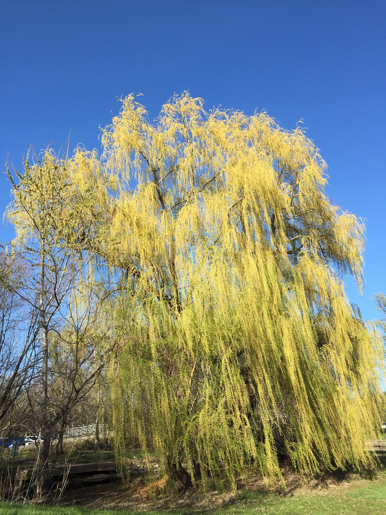 Walk This Way: 31-mile Loop of the Grand Rounds Scenic Byway | streets.mn