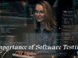 Importance Of Software Testing In The Development Process Stridefuture