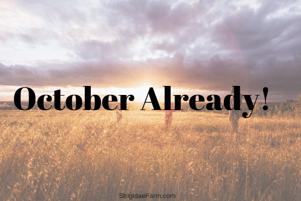 October Already!