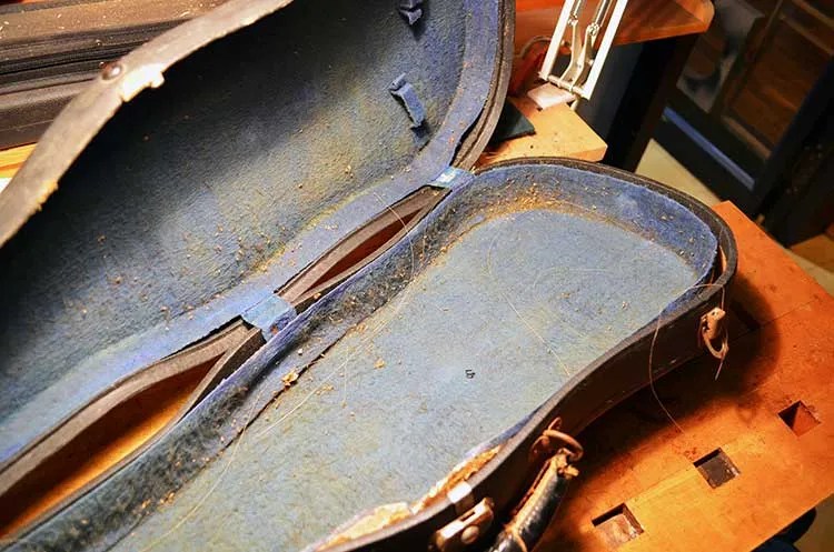 Bow Bugs: How to Know You Have Them and What to Do If You Find Them ...