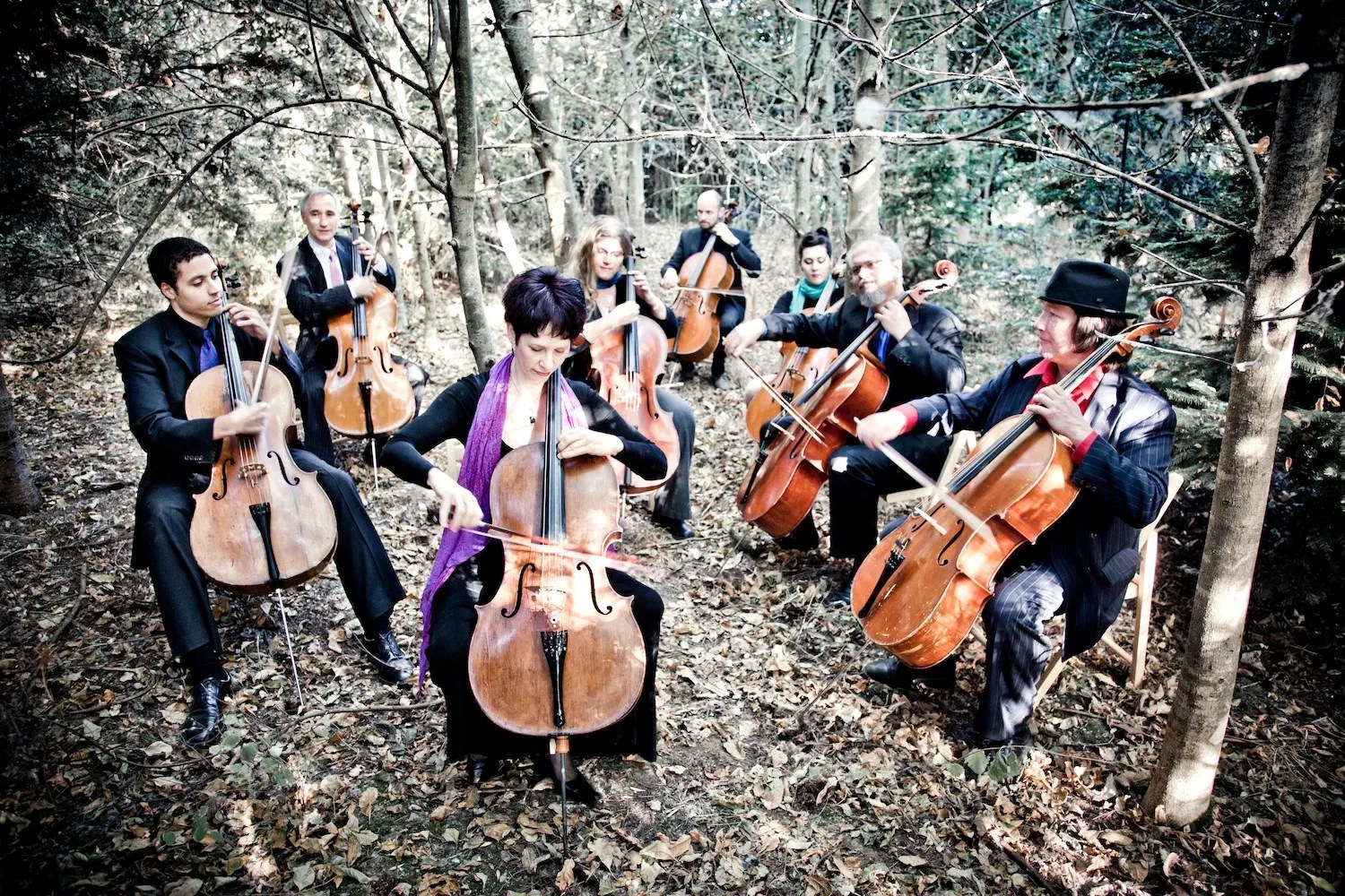 Portland Cello Project Follows Its Passion to Unexpected Places ...