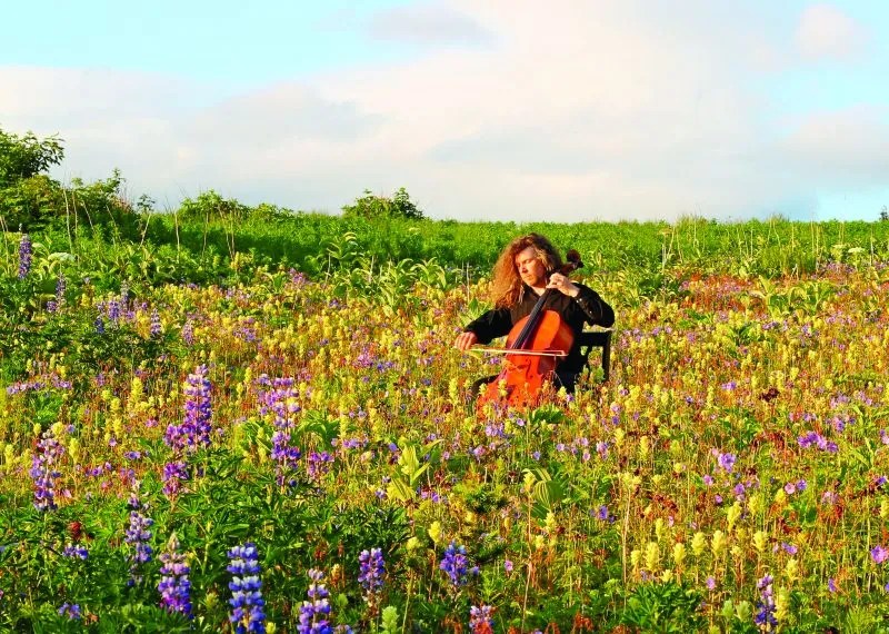 How to Prepare for an Outdoor Performance | Strings Magazine