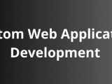Custom Web Application Development