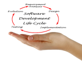Software Development Solution