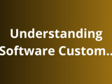 Understanding Software Custom Development