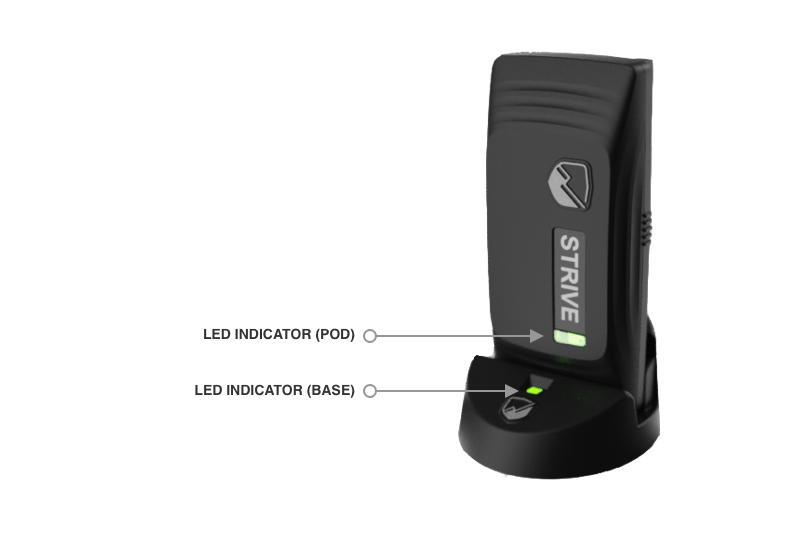 Get Started With STRIVE Today! #1 In Actionable Data