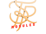 Strp Magisk Modules