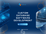 Custom Database Software Development The Complete 2025 Guide Sts