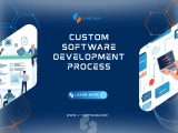 Custom Software Development Process Step By Step Guide For Business