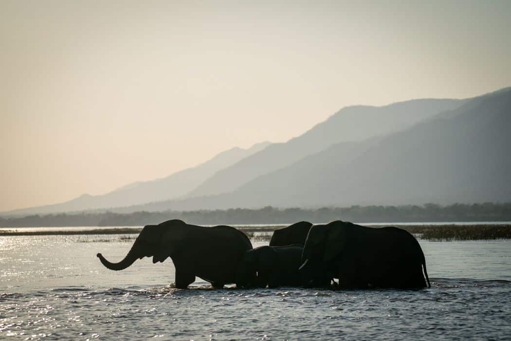 Sesheke Border crossing and driving to the Lozer Zambezi