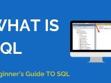 What Is Sql A Beginner S Guide To Databases Skoc Global Store