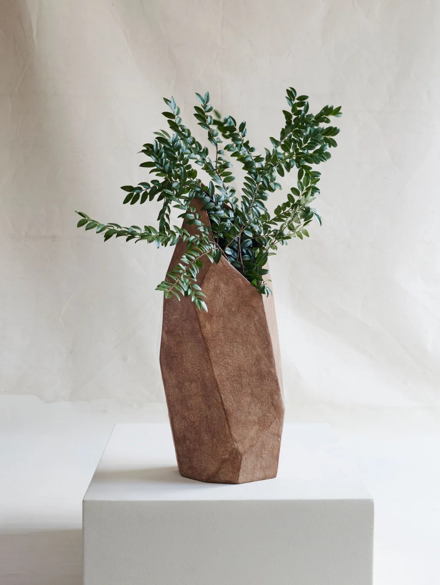 Stem Studio Laurence