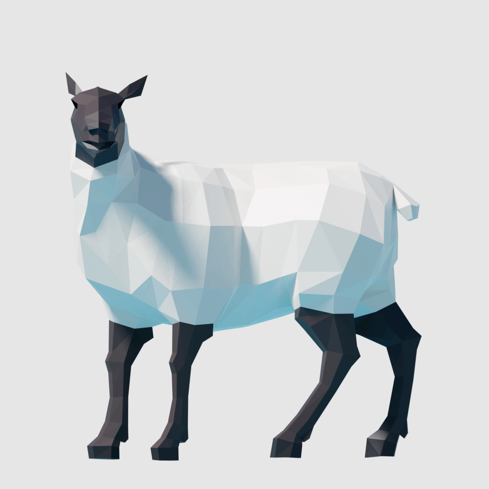 [3D] Low Poly Sheep ⋆ Studio Ochi
